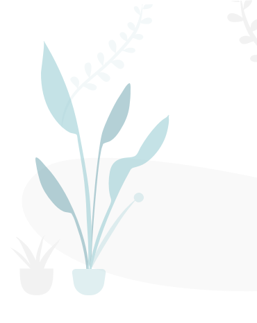 Portfolio Codecom Dev